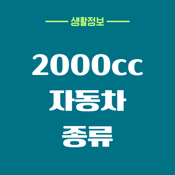 2000cc 이하 자동차 종류는 어떤 것들이 있을까요? - 정부지원 정보